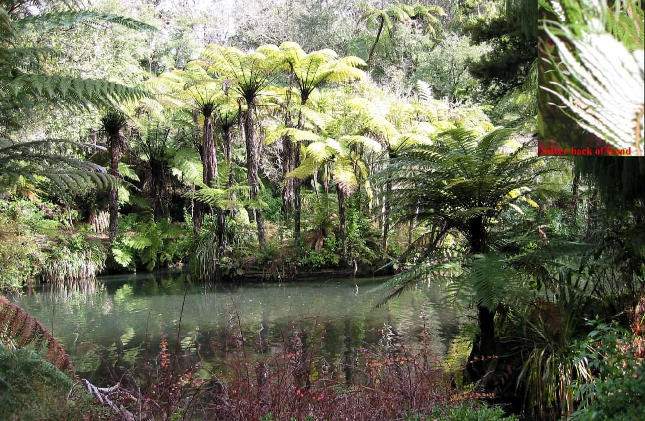 New Zealand - A Must See Destination